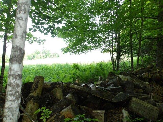 And Forest Ln, Lyndon, Plot For Sale