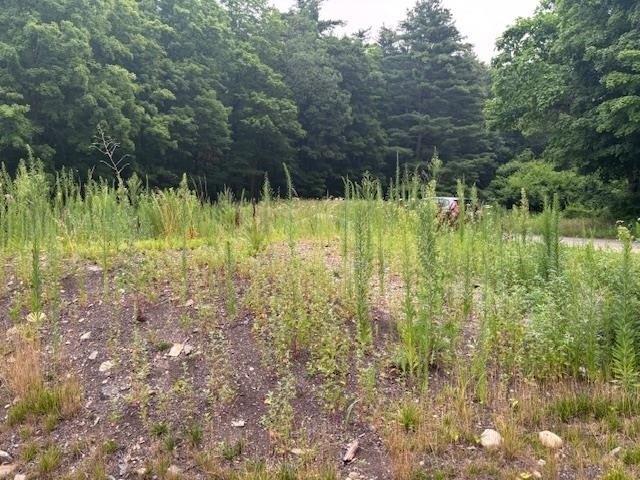 And Manchester Lots St Lot,nashua, Plot For Sale