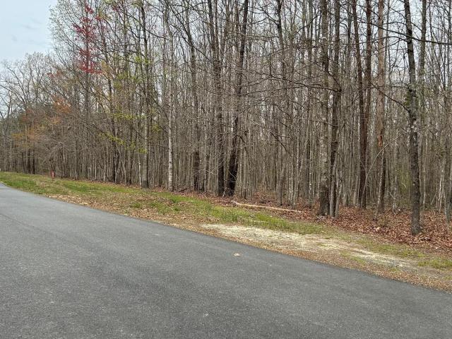Andergar Ln, Kents Store, VA 23084 | MLS #676205