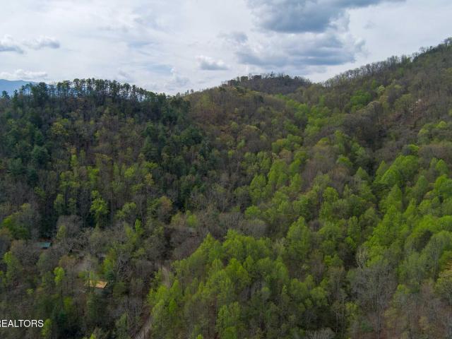 Anderson Way, Sevierville, TN 37876