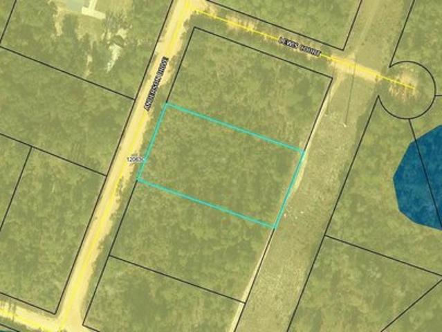 Anderson Dr, Alford, FL 32420