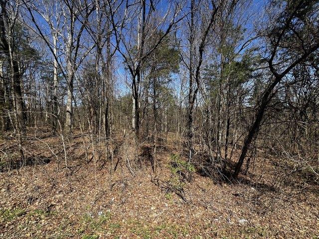 Anderson Ln, Chapel Hill, TN 37034