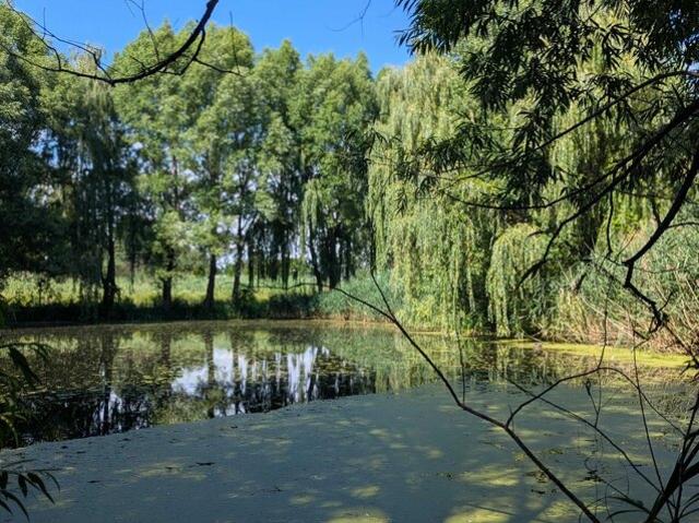Anderson Ln, Swanton, Plot For Sale