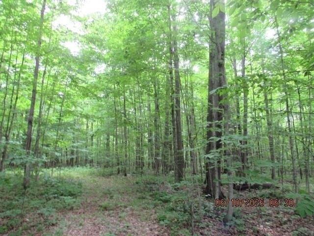 Anderson Rd Lot 2, Potsdam, NY 13676