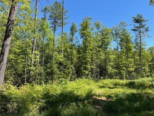 Andover ME 04216 LS102560681