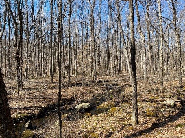 Andrew Mountain Rd, Naugatuck, CT 06770