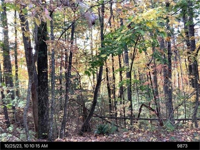 Andros Ct, Ellijay, GA 30540