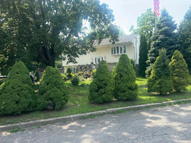 Angela Ln