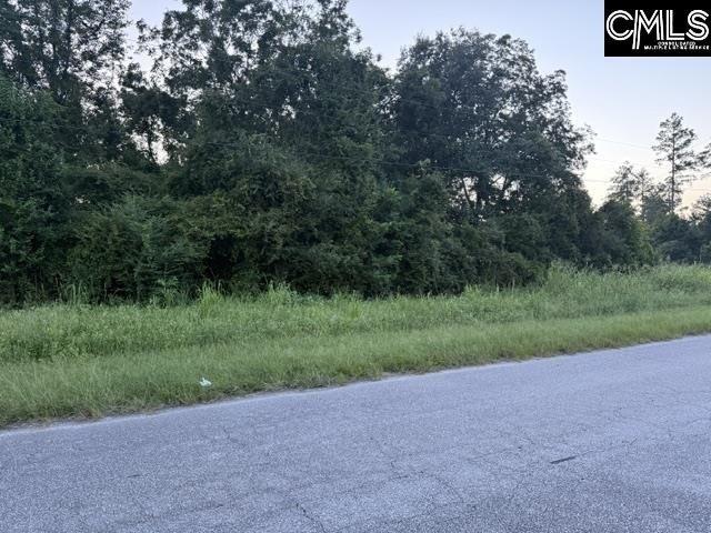 Angelica St, Santee, SC 29142