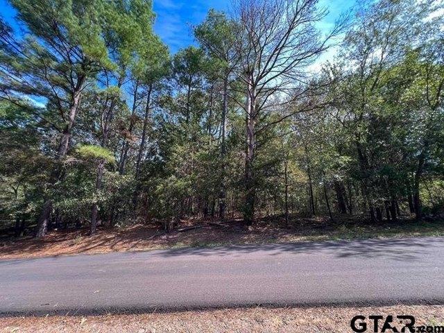 Angelina Dr Lot 49, Mount Vernon, TX 75457
