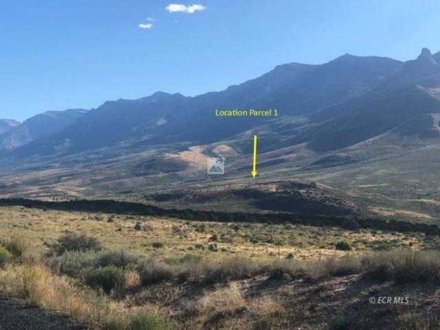 Angle Lake Rd, Wells, NV 89835