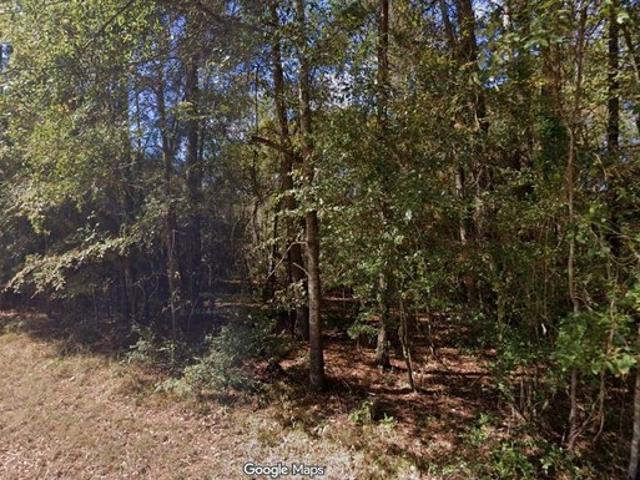 Anglers Dr, Trinity, TX 75862