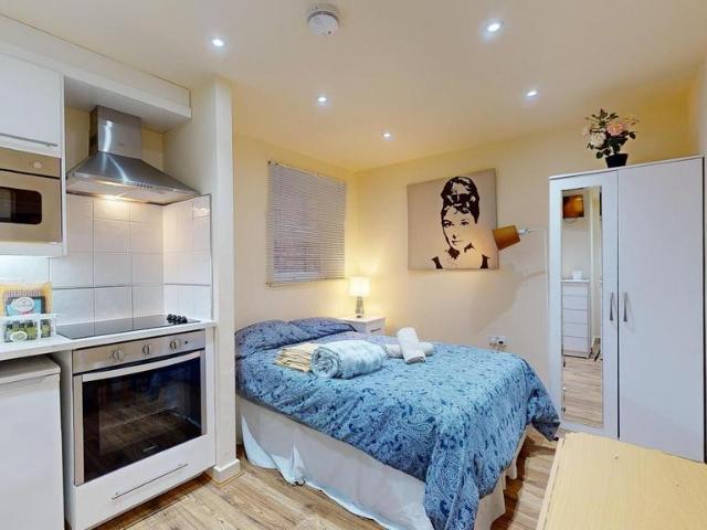 Anson Road, London NW2 Studio to rent £1,412 pcm £326 pw