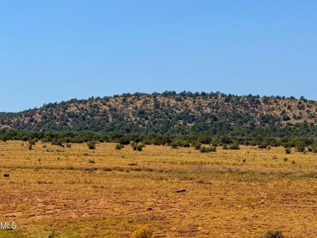 Antelope Valley 37 Acres Rnch Lot 18, Seligman, AZ 86337