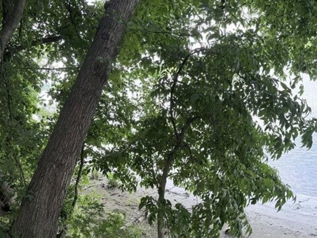 Anthony Rd, Longmeadow, Plot For Sale