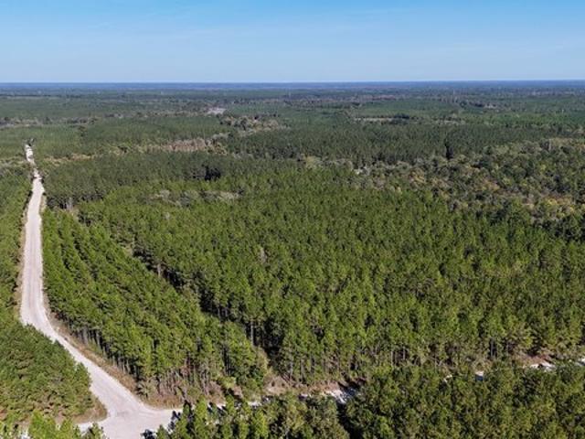 Tract 5 River Rd, Folkston, GA 31537