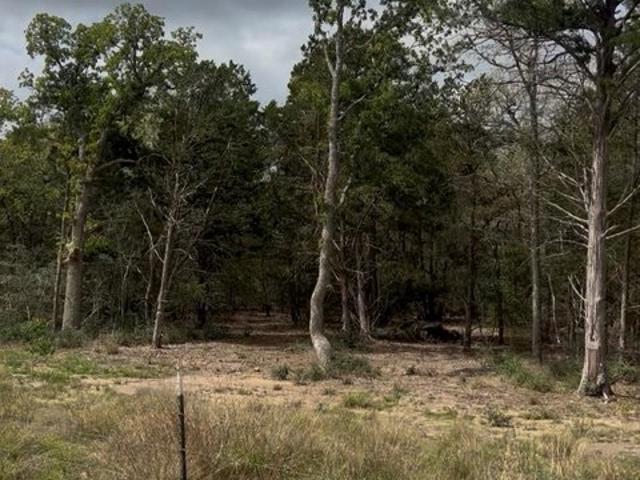 Antioch Rd Lot 15, Paige, TX 78659