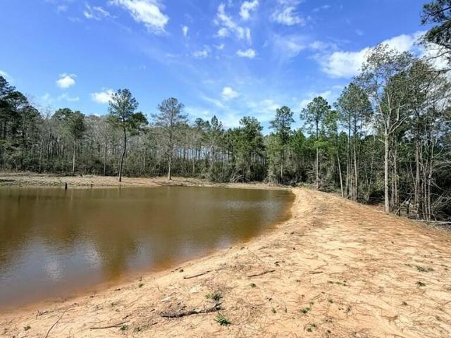 Antler Ridge Drive, Poplarville, MS 39470