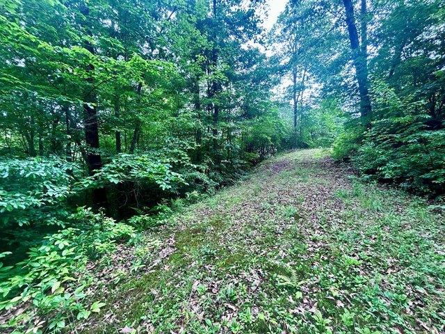 Antler Ridge Rd Lot 5, Franklin, NC 28734