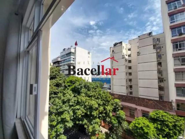 Antonio Basilio Excelente planta