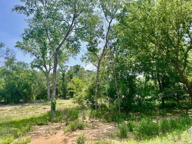 Antrim Ct Lot 46, Poolville, TX 76487
