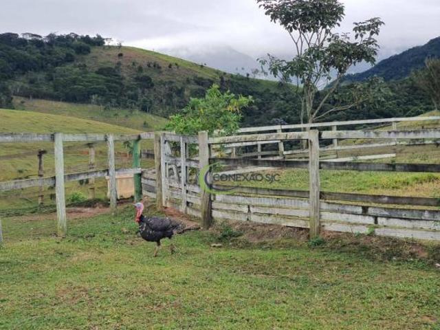 Anuncia esse Sitio 12 Alqueires Fica aqui em Pinda. Ribeirao Grande Graminha