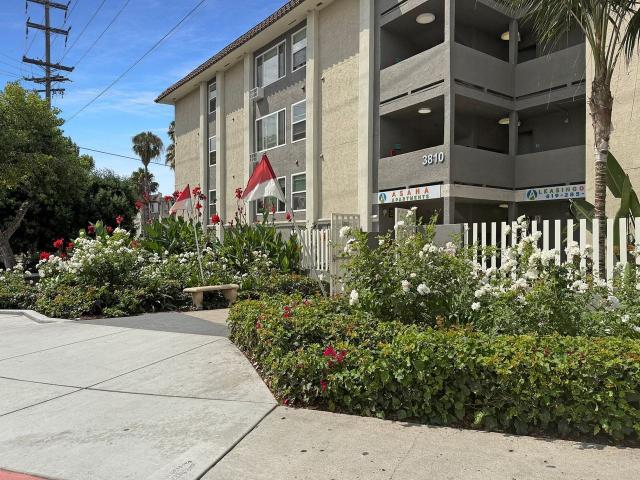 Asana at North Park 2 Bedroom Apartment for Rent at 3810 Wabash Ave, San Diego, CA 92104 Cherokee Point