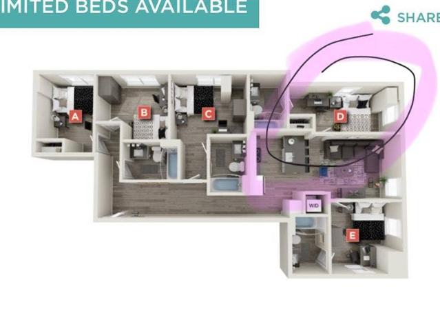 ASAP NEED ROOMMATE FOR ROOM D
