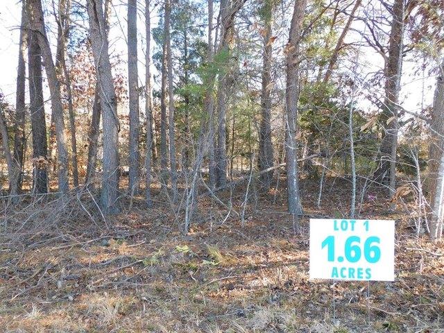 Asbury Church Rd Lot 1, Vernon Hill, VA 24597
