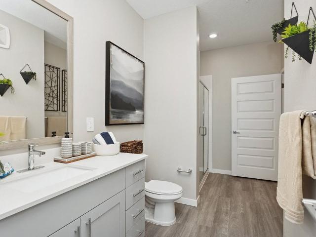 Ascend Angeline 2 Bedroom Apartment for Rent at 16648 Mangrove Island Ave, Land O Lakes, FL 34638