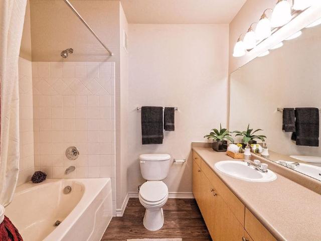 Ascent North 1 Bedroom Apartment for Rent at 12001 Dessau Rd, Austin, TX 78754