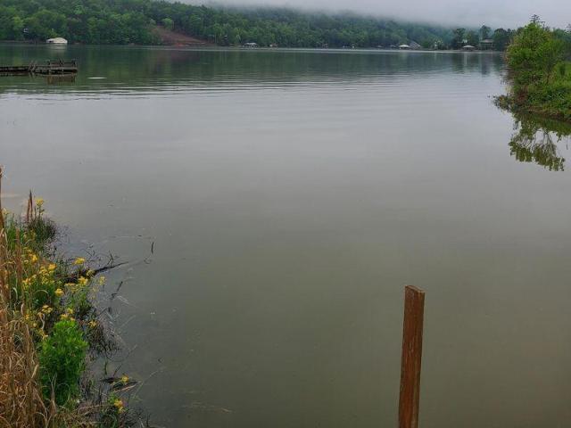 Ashville AL 35953 LS101012198