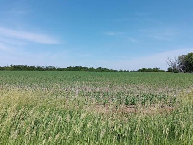 Ash Ave, Batavia, IA 52533