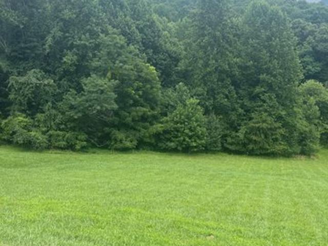 Ash Branch Cir Lot 22, Hayesville, NC 28904
