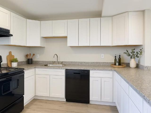 Ashby Gardens 2 Bedroom Apartment for Rent at 1719 Eastcrest Drive, Charlotte, NC 28205 Briarcreek Woodland