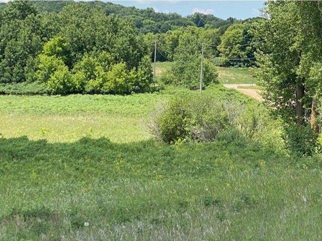 Ashby MN 56309 103500965