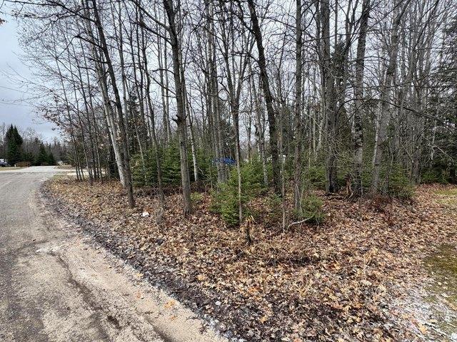 Ashcroft, Lake, MI 48632