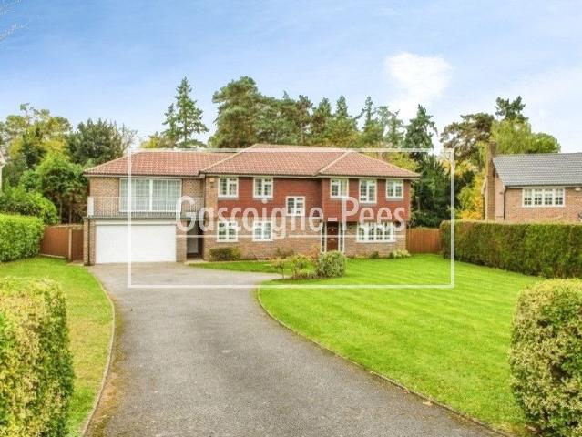 Ashcroft Park, Cobham KT11, 5 bed property to rent, £5,250 pcm | PrimeLocation