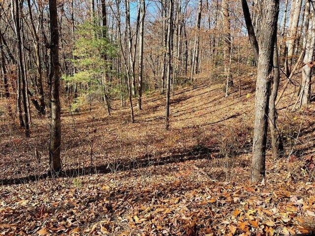 Ashe Knob Dr Lot,hayesville, Plot For Sale