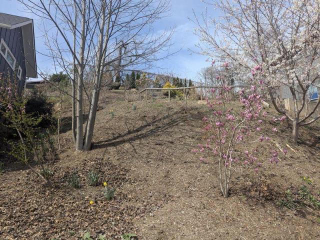 Asheville NC 28801 101012118