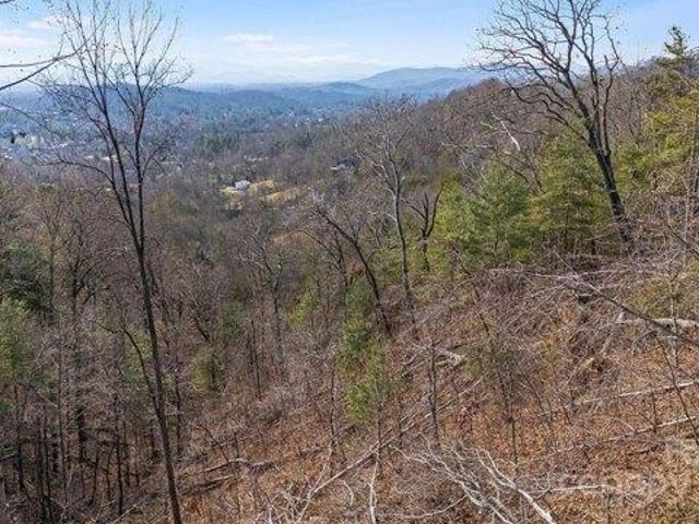 Asheville NC 28804 104902498