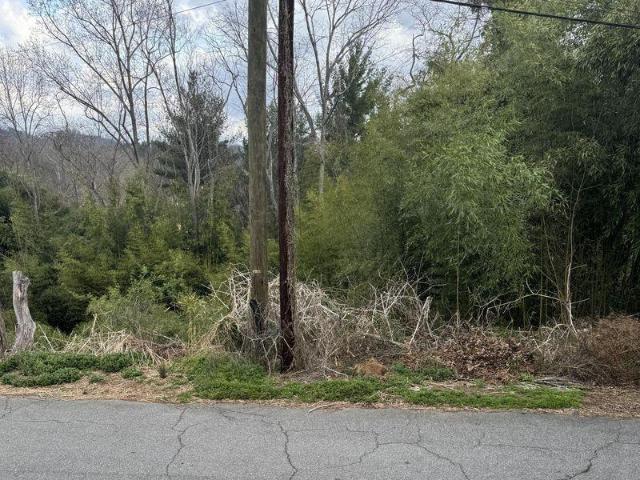 Asheville NC 28806 LS101012015