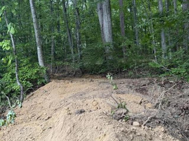 Ashland Camp Loop Lot 163, Beattyville, KY 41311