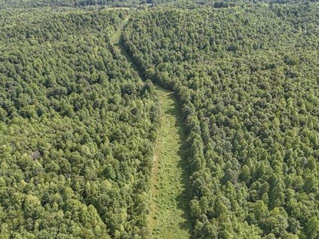 Ashland Rd, Waynesboro, TN 38485