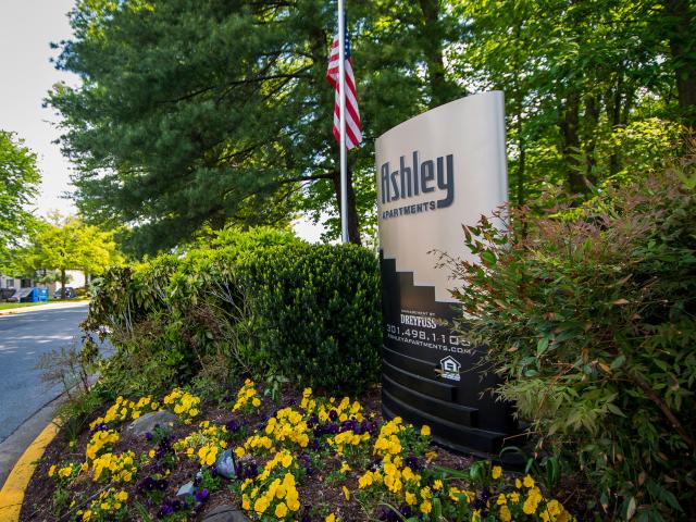 Ashley Apartments