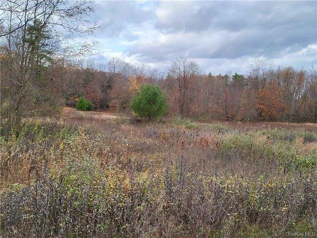 Ashley Dr Lot 5, Rosendale, NY 12472
