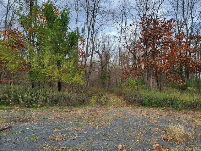 Ashley Drive Lot 5