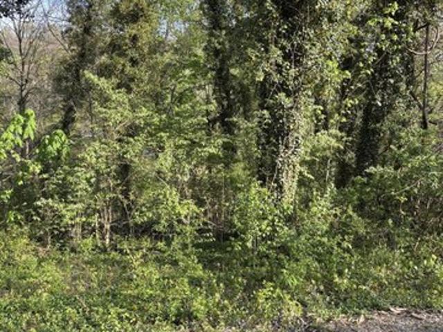 Ashley St Lot 14, Kingsport, TN 37664