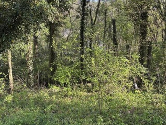 Ashley St Lot 15, Kingsport, TN 37664