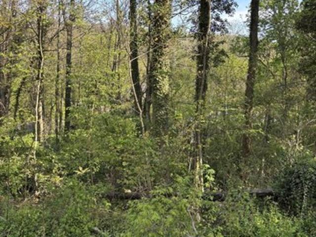 Ashley St Lot 17, Kingsport, TN 37664